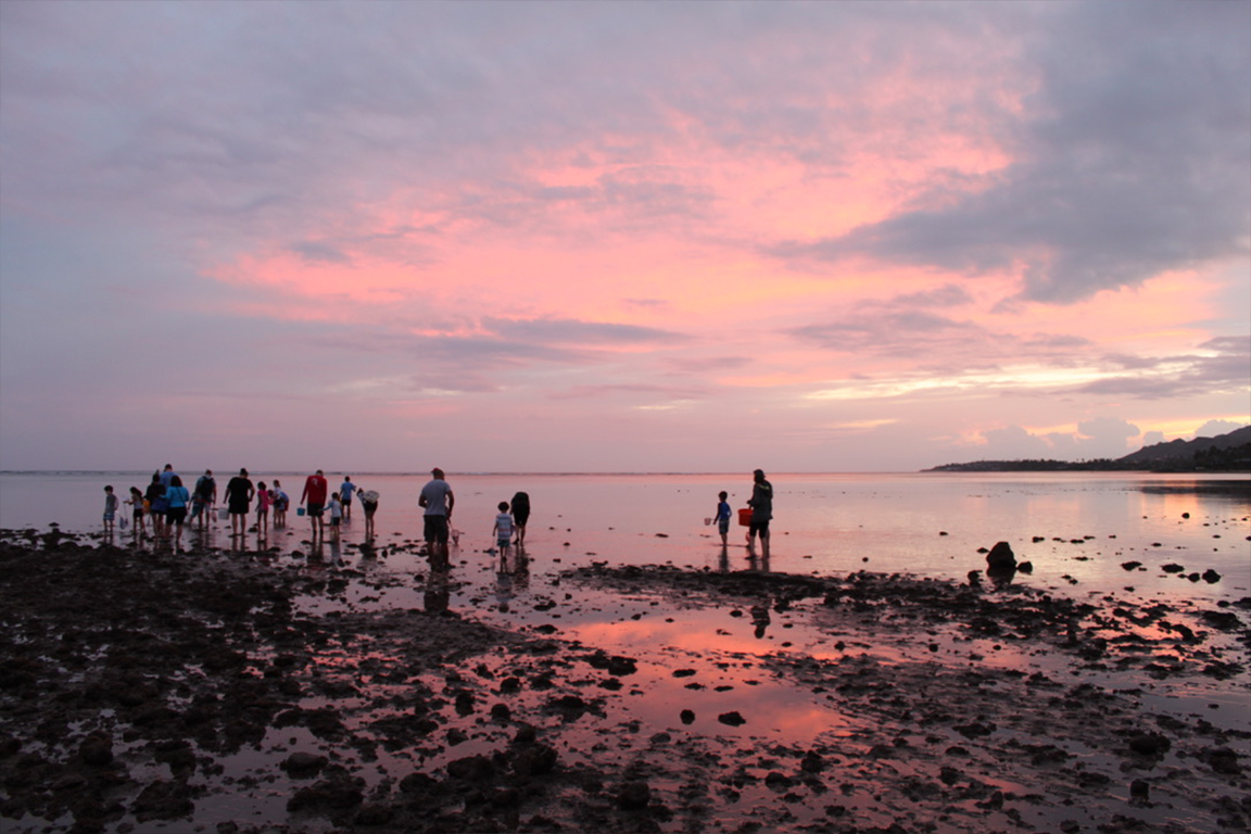 We Tried It: Living Art Marine Center Reef Walk