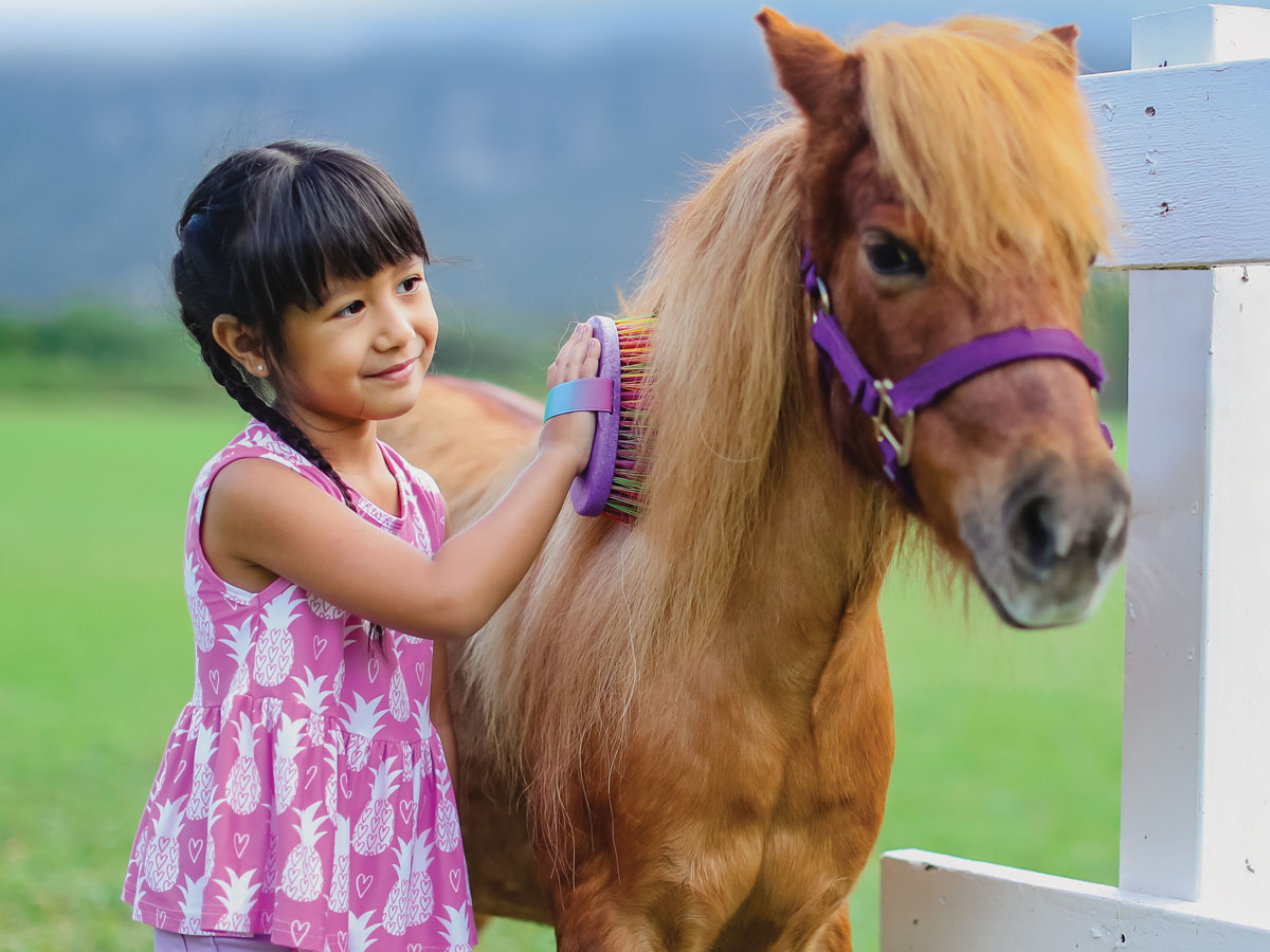 2019 Summer Programs Guide