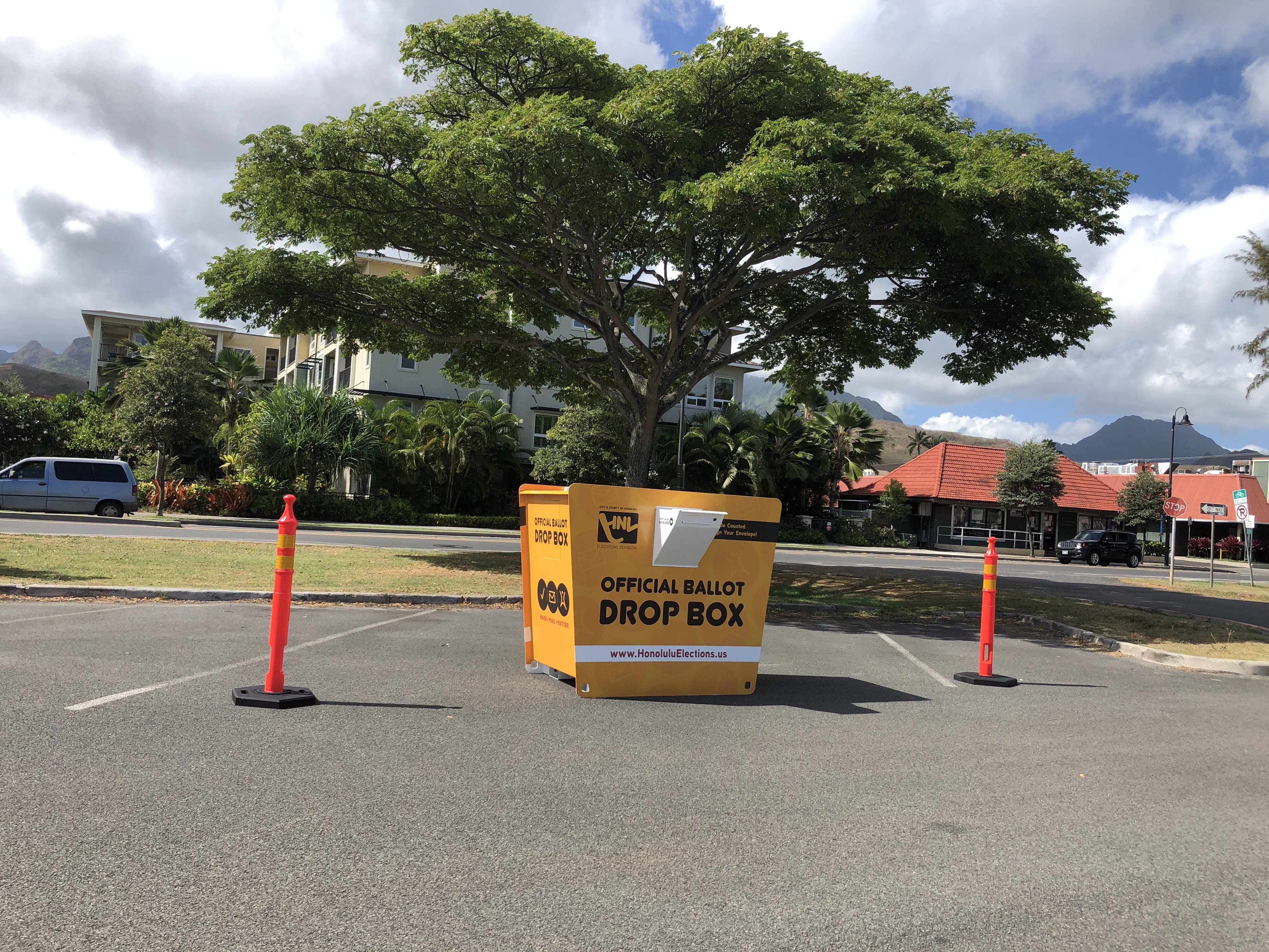 Last-Minute Tips to Make Sure Your General Election Vote Counts in Honolulu