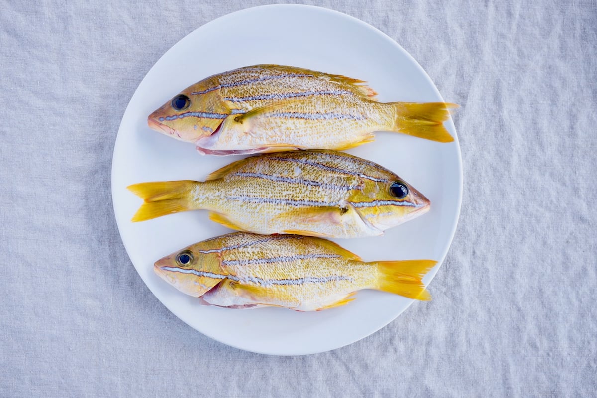 Eat Me Because I’m Pretty: A Ta‘ape Story