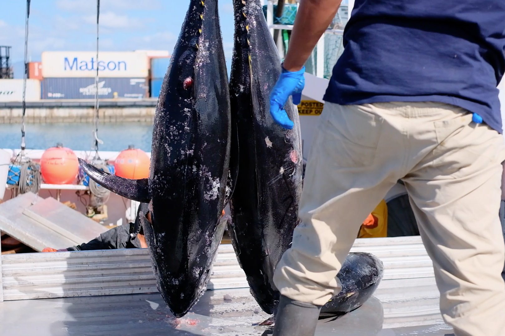 4 Reasons Why You Should Buy Your Fish Local