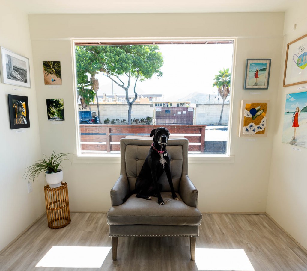A Pop-Up Gallery in Kailua Shows How Hawai‘i Artists React to a Global ...