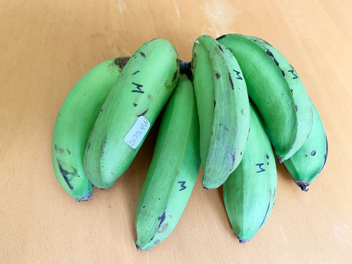 We Tried 10 Kinds of Local Bananas (Because We Could)