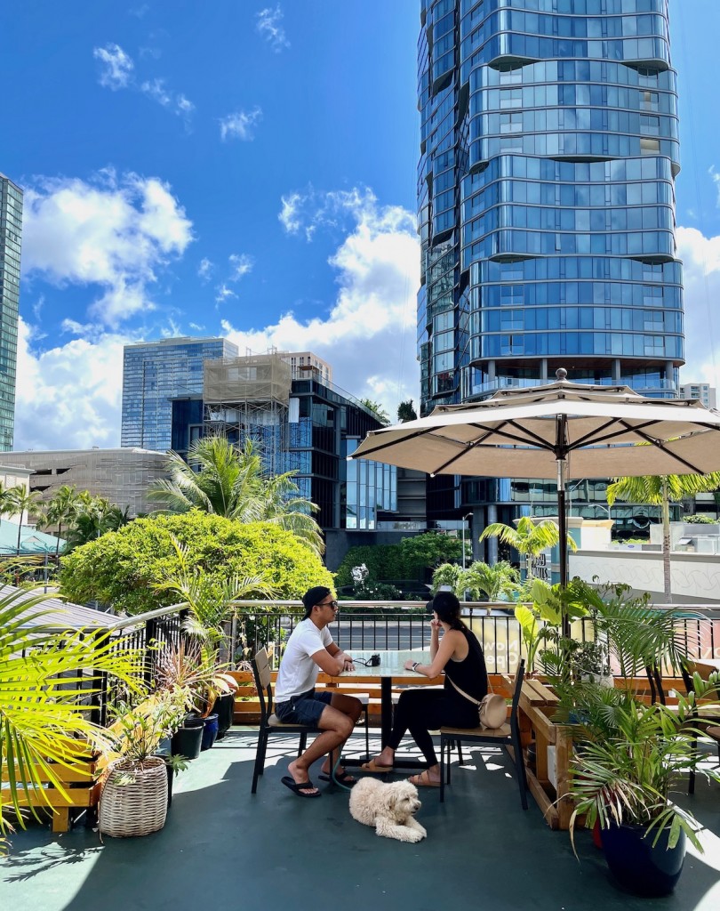 Try Coffee Is an Oasis in Kaka‘ako