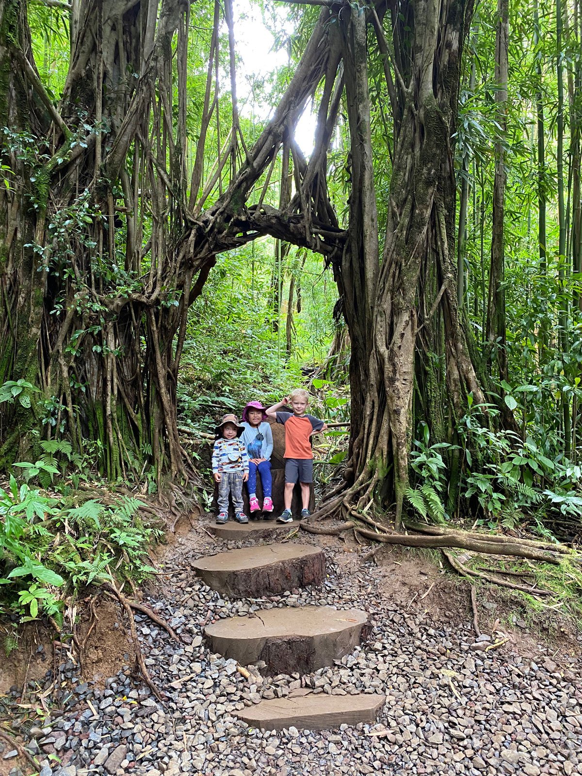We Tried It: Hiking Mānoa Falls Trail in Honolulu with Kids
