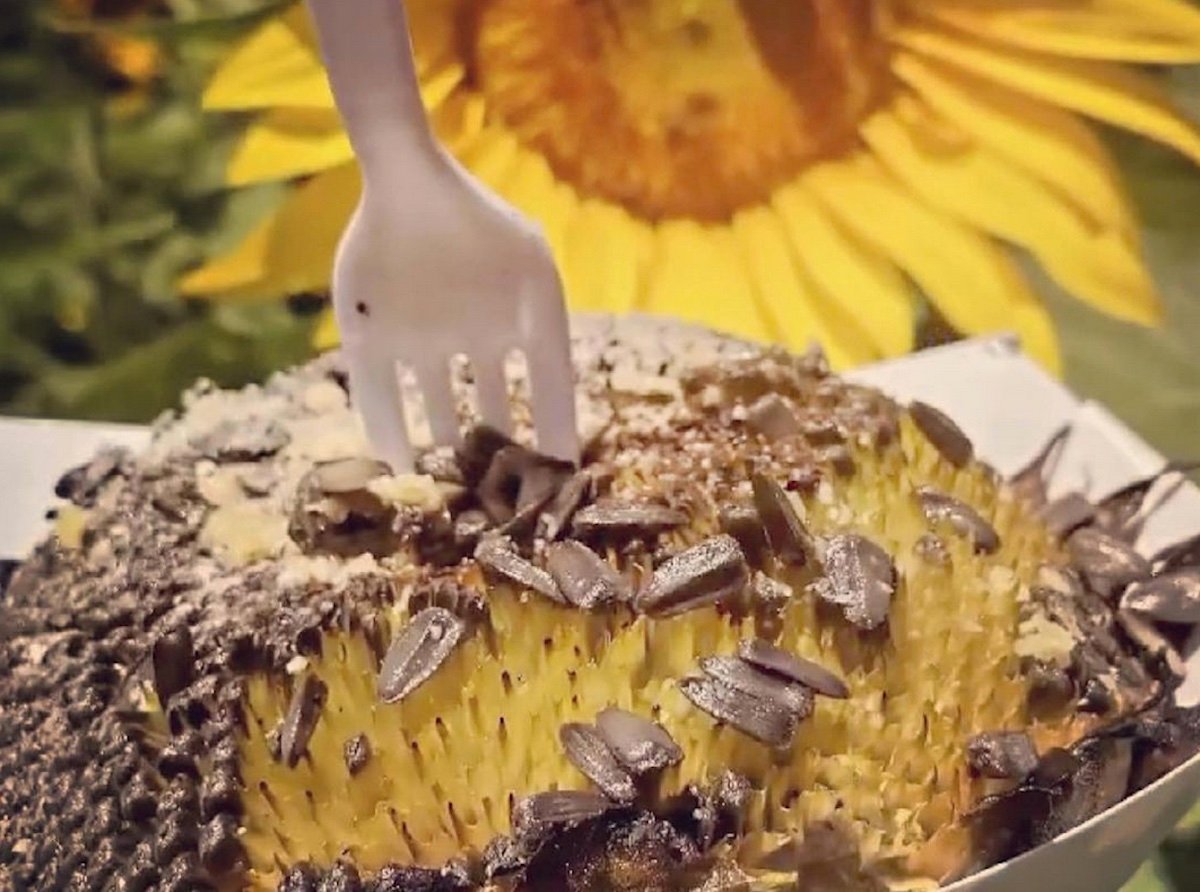 In Waimānalo, Sunflowers Are Grilled and Sprinkled With Cheese