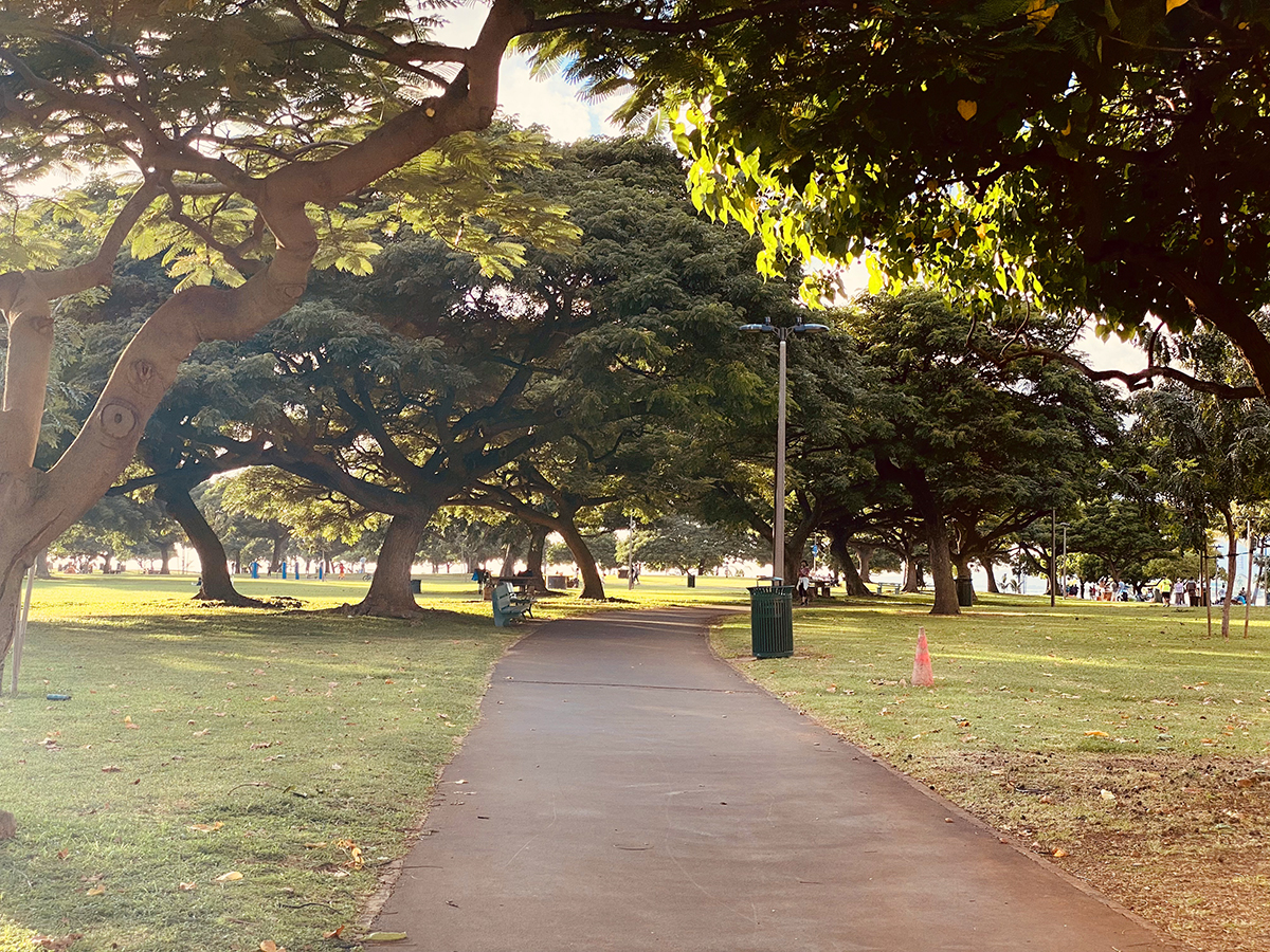 The Magic of Magic Island During the Pandemic