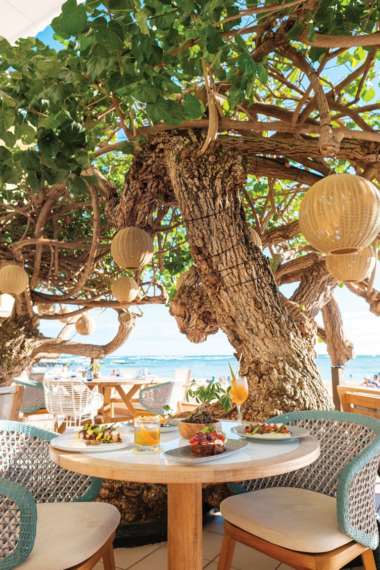 Hau Tree Restaurant in Waikīkī Wins Best Outdoor Dining in Hawai‘i