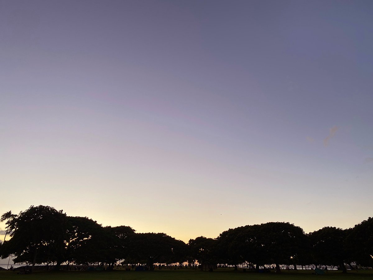 The Magic of Magic Island During the Pandemic