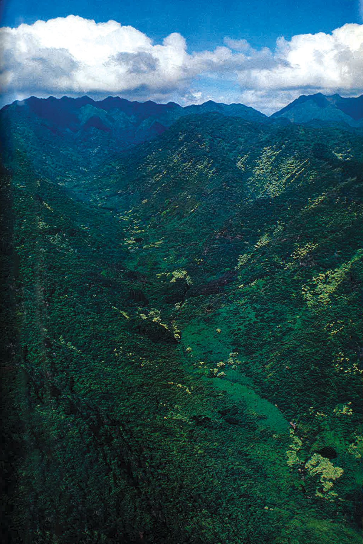 The History of Hawai‘i From Our Files: Halawa Valley Before the H-3