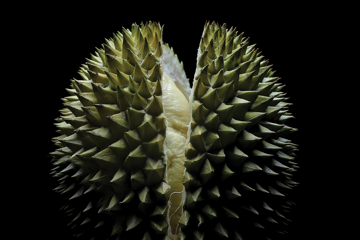 Recent Prices are as Heady as the Aroma, But Durian Lovers Still Can’t ...