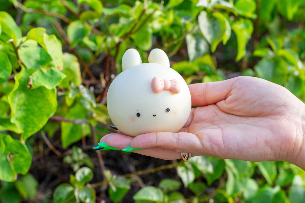 Find These Kawaii New Bao Pastries at a Boba Shop Near University