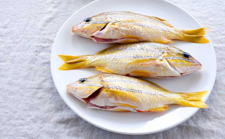 Fish Just Got Real: Ta‘ape Throw Down Invites You to Eat the Invasives