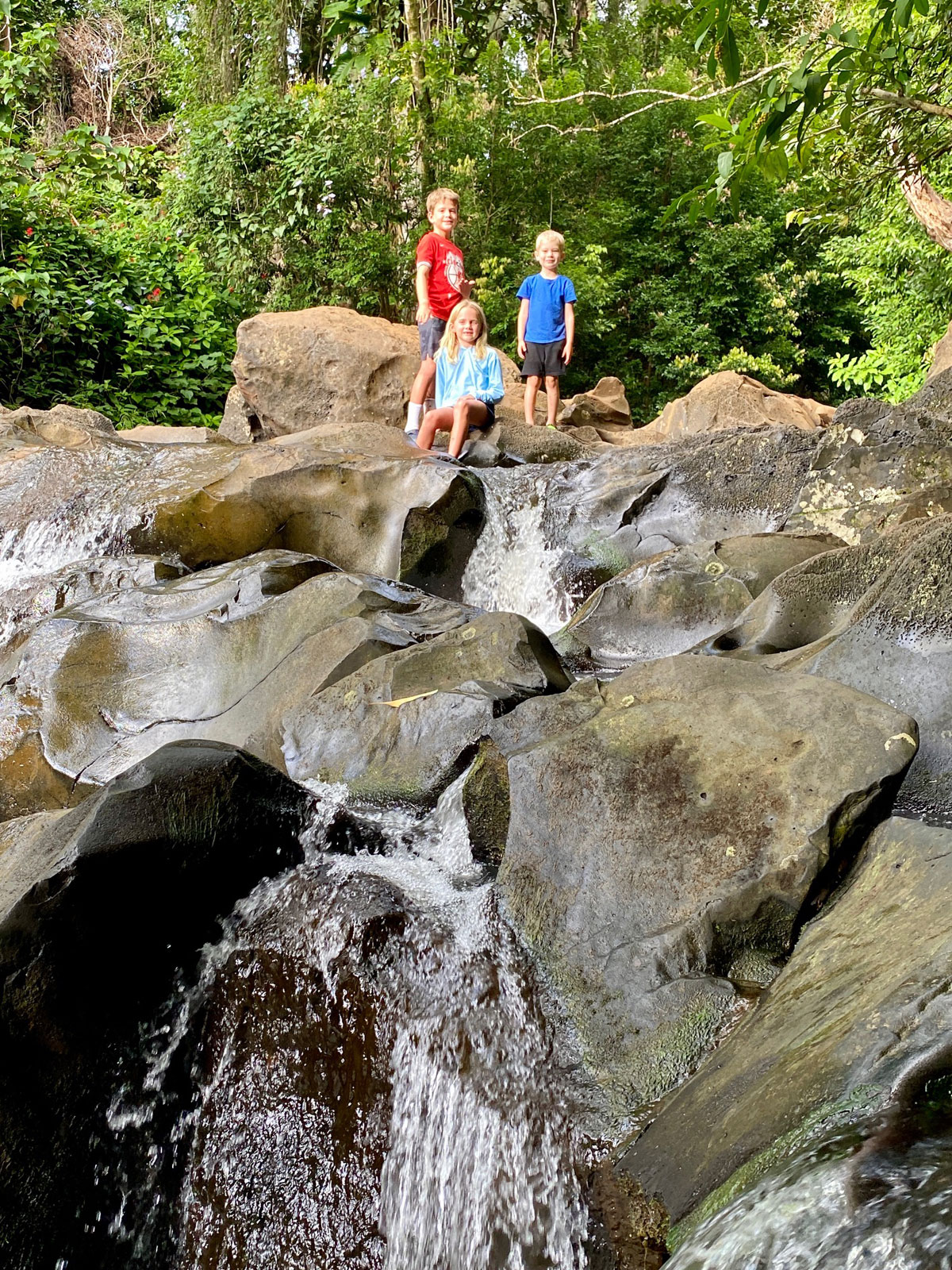Hawai‘i Family-Friendly Hike: Judd Trail