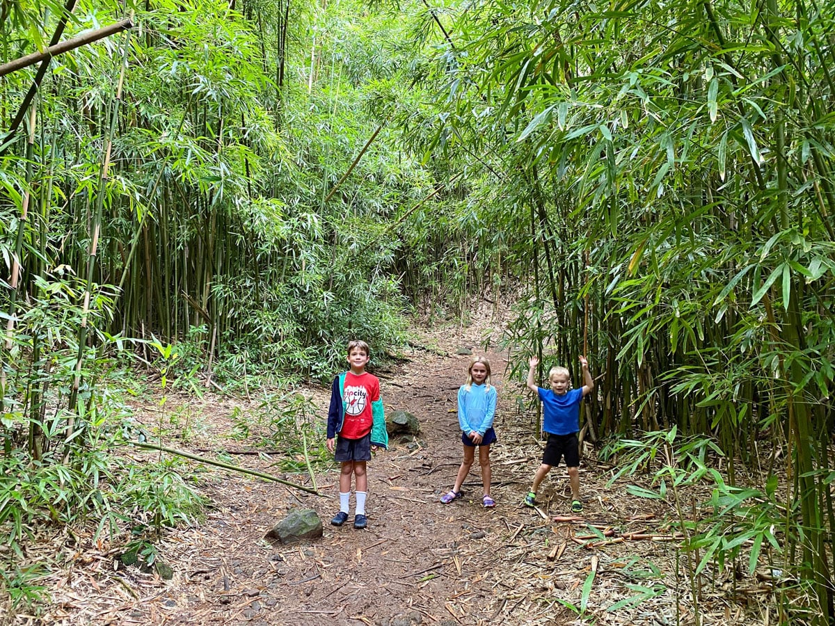 Hawai‘i Family-Friendly Hike: Judd Trail