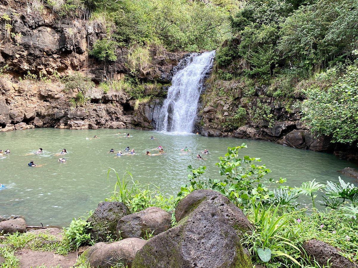 Our Family Guide: Waimea Valley on O‘ahu