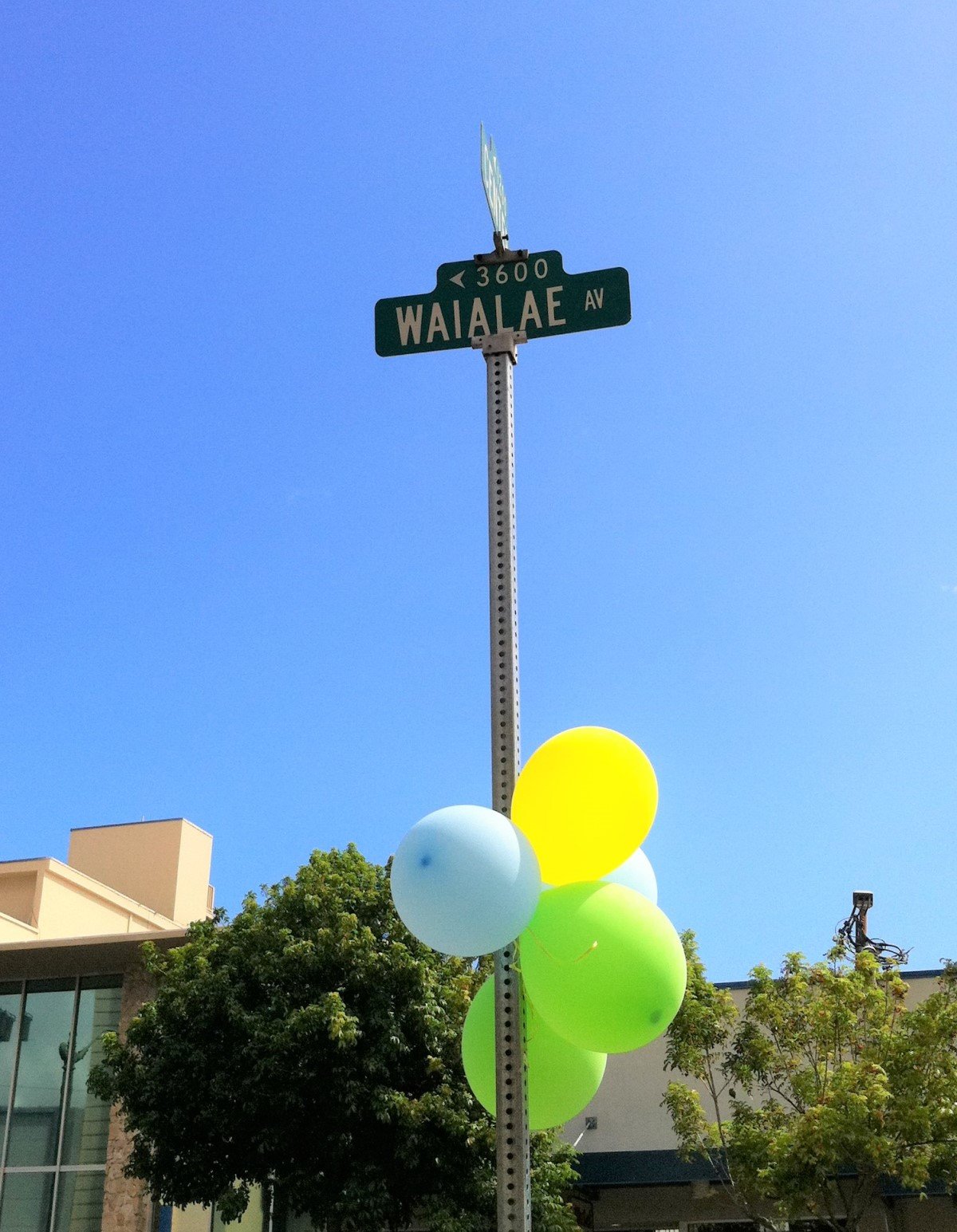 Celebrate Mahina ‘Ōlelo Hawaiʻi by Helping Honolulu Fix Its Street Signs