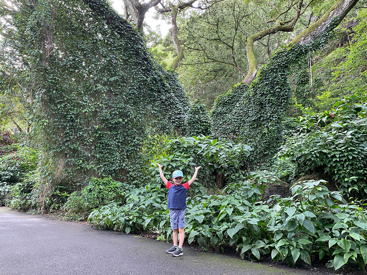 Our Family Guide: Waimea Valley on O‘ahu