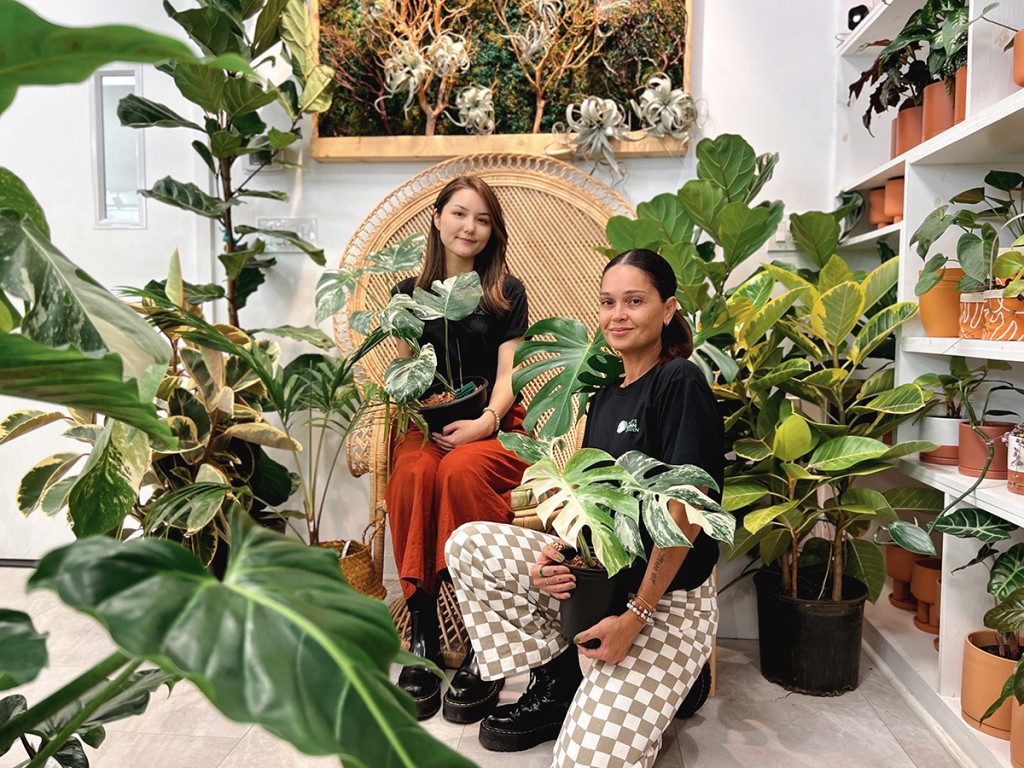 Style Scoop: These Are the Trendiest Houseplants in Honolulu