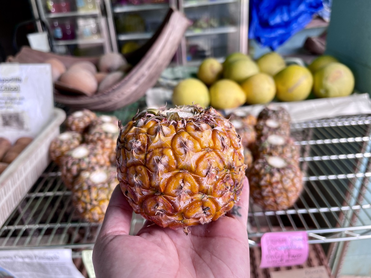 Worth the Splurge: Island Vintage’s $19 Honey Cream Pineapple Shave Ice in Waikīkī