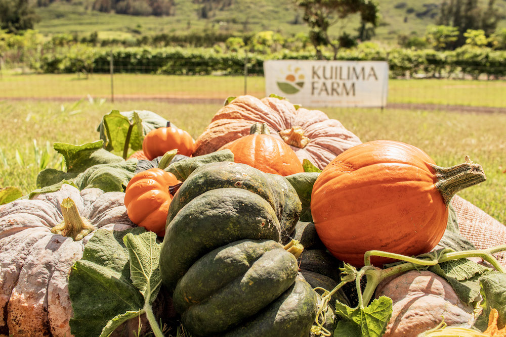 Halloween Events: All the Spooky, Scary, Tricksy Fun on O‘ahu