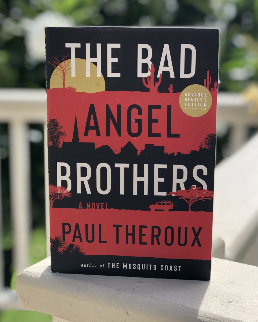 From Dark Horses to Debuts: The Fall Book Season is Dazzling