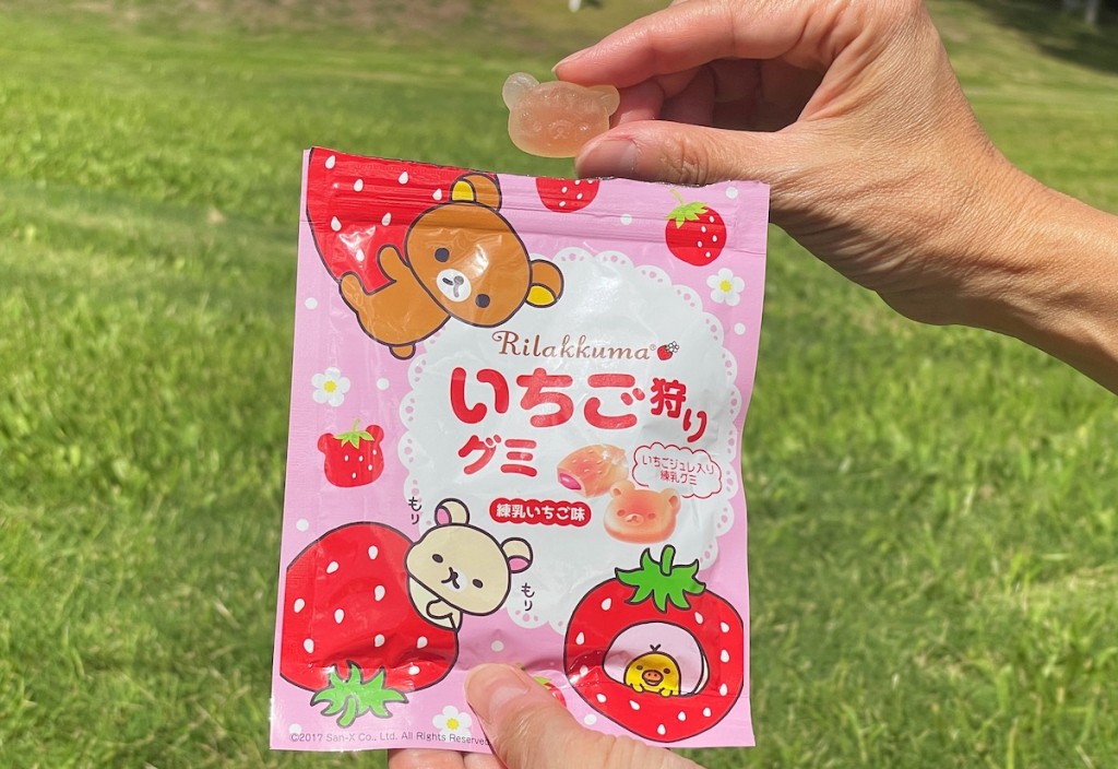 Favorite Omiyage Snack Finds From My Japanese Hometown