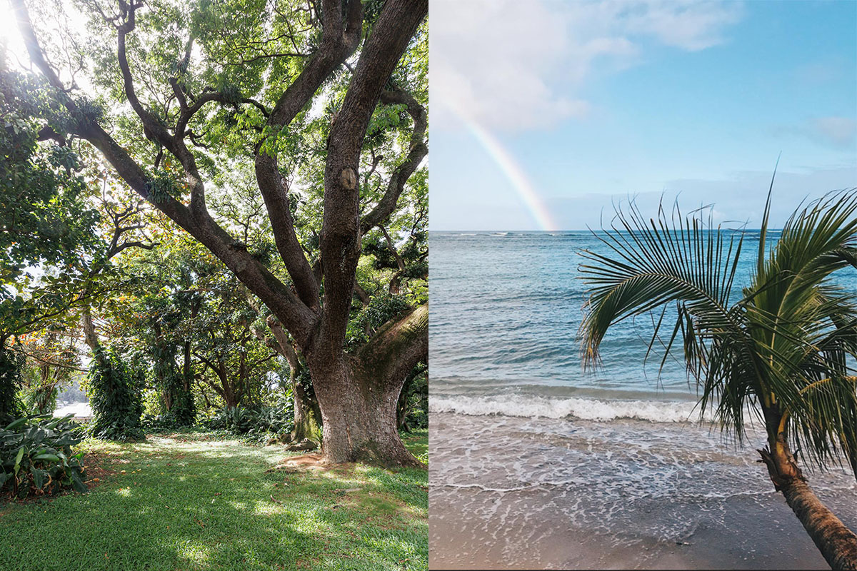 The Coolest Spots on O‘ahu for Scenic Holiday and Instagram Shots