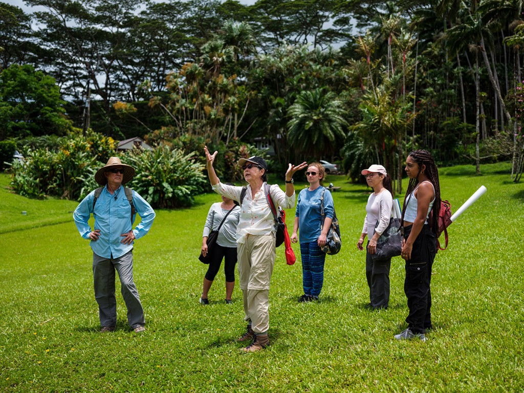 Hawai‘i’s First Forest Guide Helps People Connect With Nature