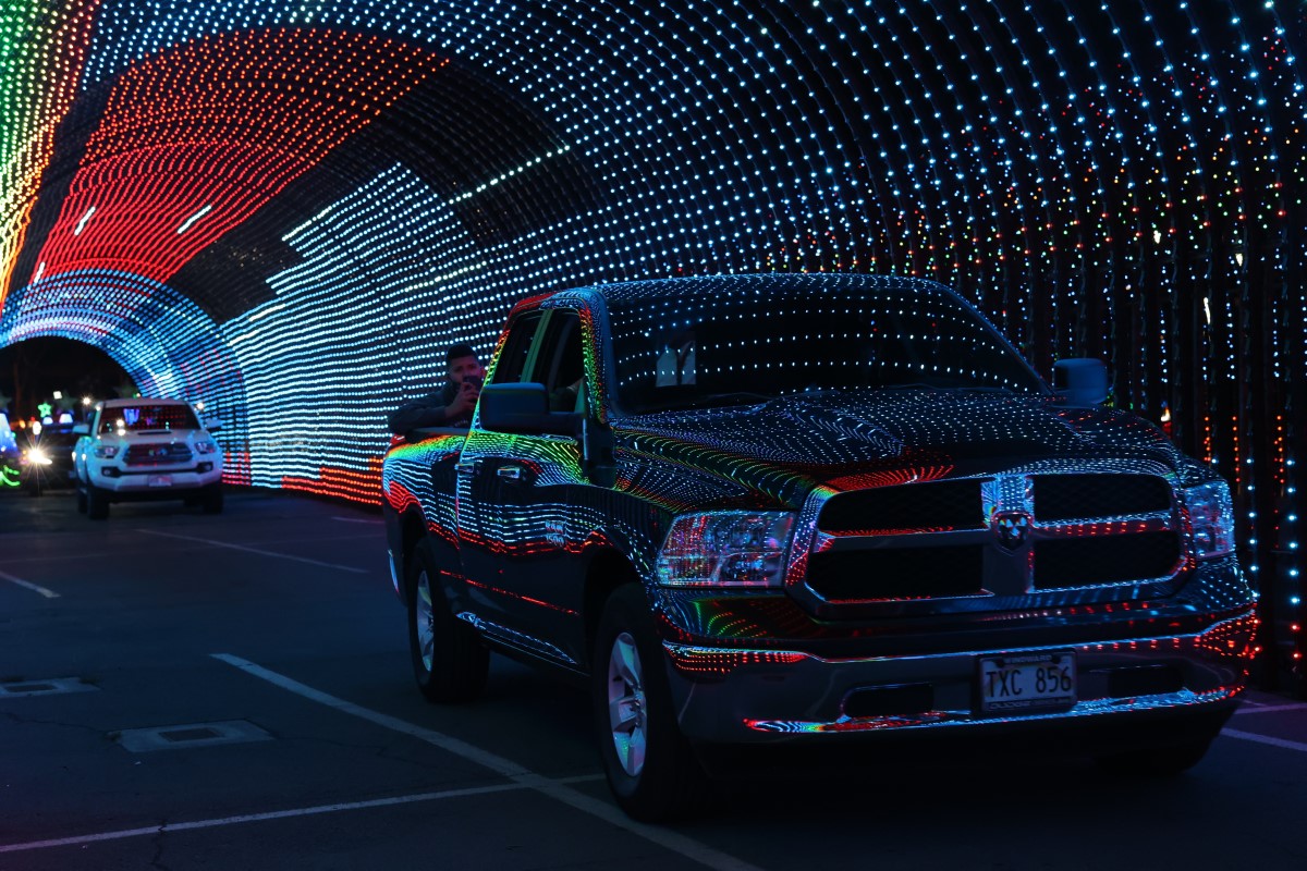 Texas Artist Erick Swenson Gets His First Museum Solo Show in Honolulu