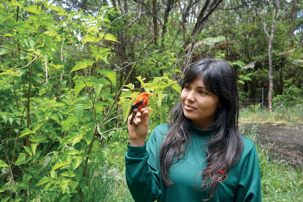 Local Brand Laulima's Designs Feature Lovely Native Flora and Fauna