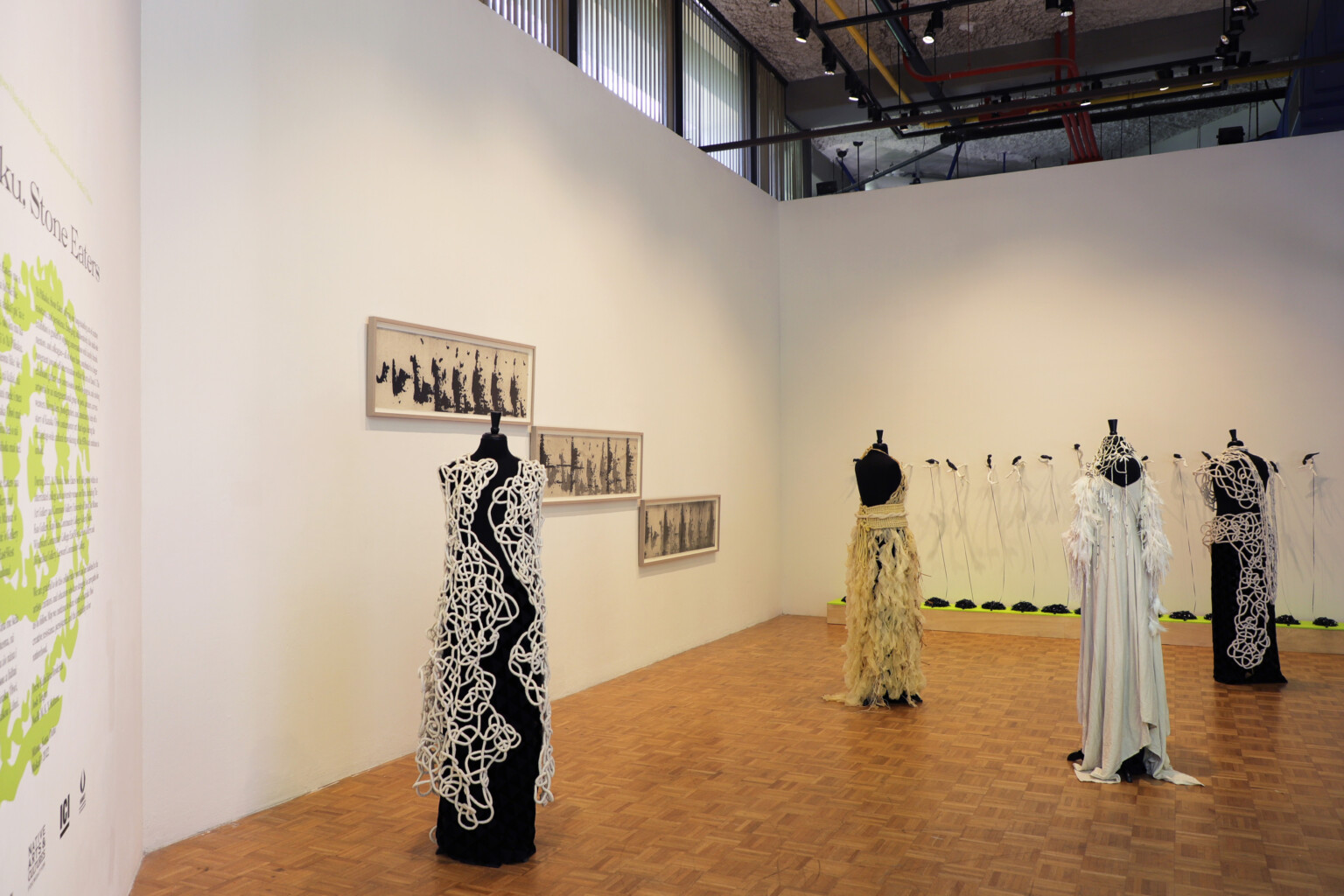 The First Hawaiians: A Guide to Native Plants of Hawai‘i