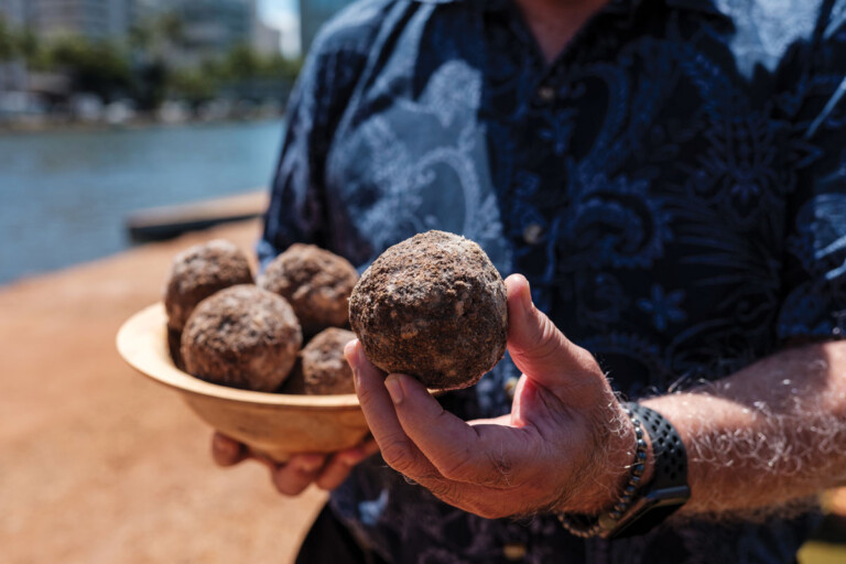 The Ala Wai Is Showing Signs of Life Thanks to Nonprofit Efforts