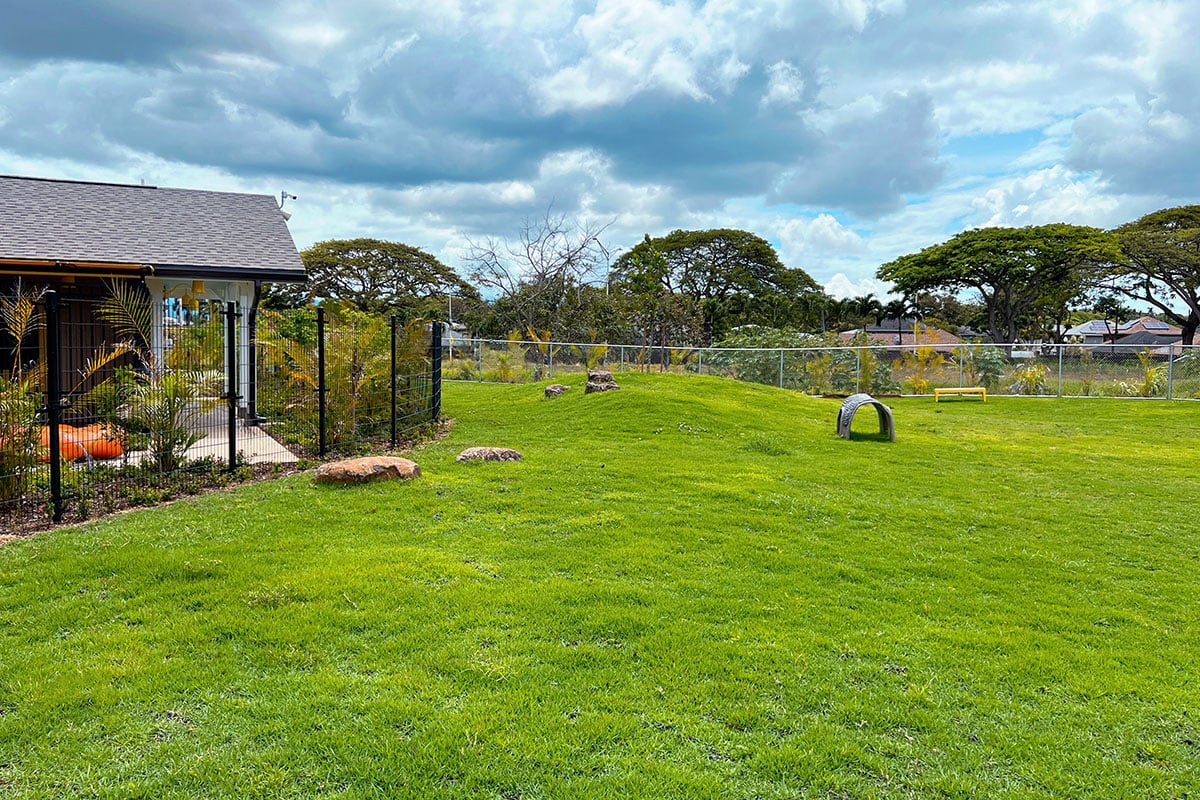 Hawaiian Humane Society Opens a New Animal Shelter in ‘Ewa Beach