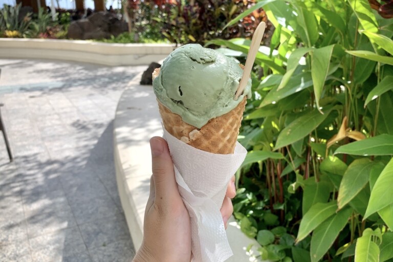 Ultimate Guide to 12 Luscious Local Ice Cream Shops