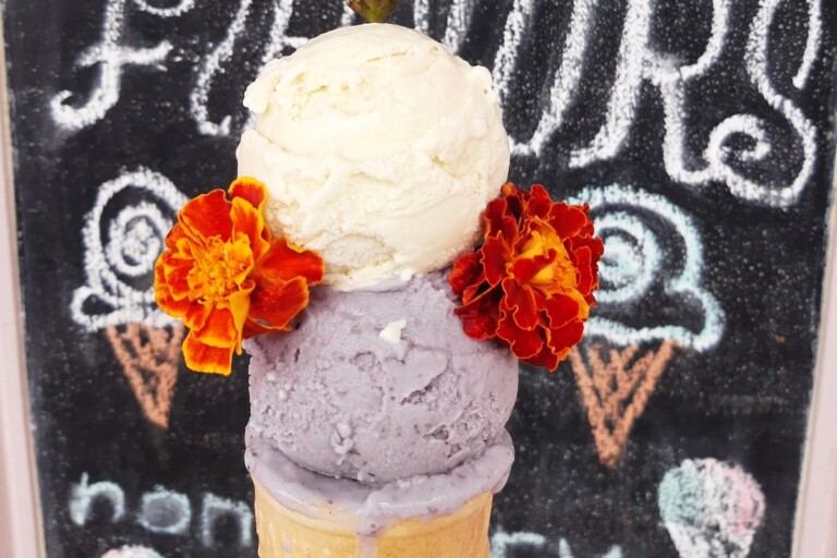 Ultimate Guide to 12 Luscious Local Ice Cream Shops