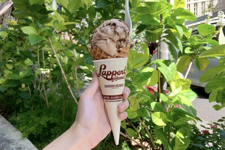 Ultimate Guide to 12 Luscious Local Ice Cream Shops