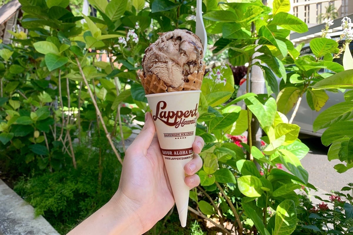 Ultimate Guide to 12 Luscious Local Ice Cream Shops