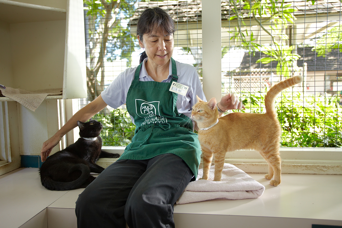 Clear the Shelters and Help Animals Find Their Fur-ever Homes