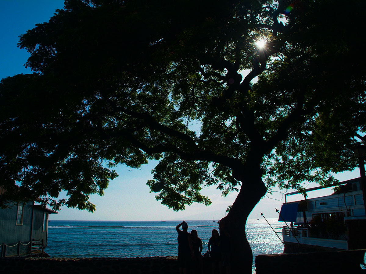 A Memory of Lahaina - Honolulu Magazine