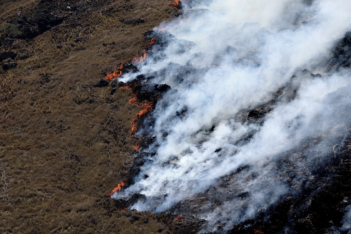Lele Ka Lehua: The Ashes Scatter