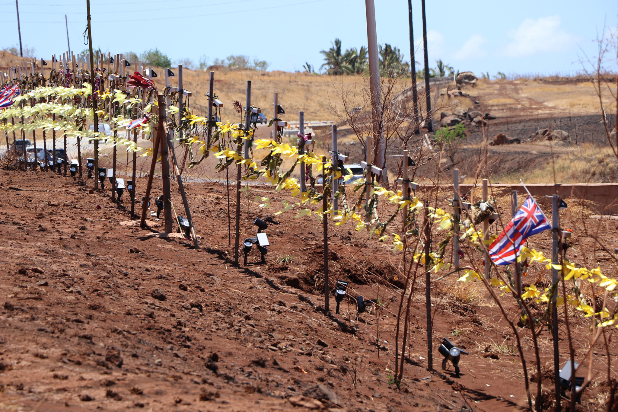 Lele Ka Lehua: The Ashes Scatter