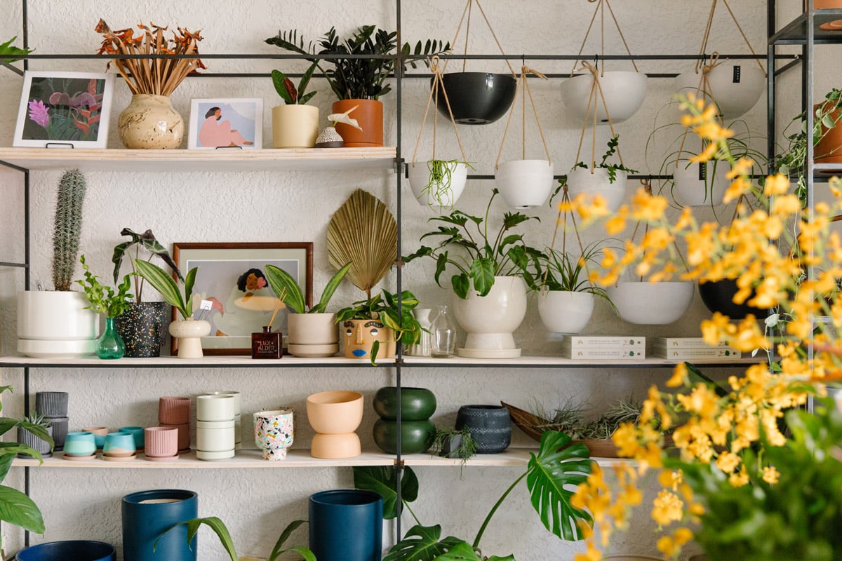 Peek Into Paiko Hawai‘i’s Lovely New Kaka‘ako Boutique