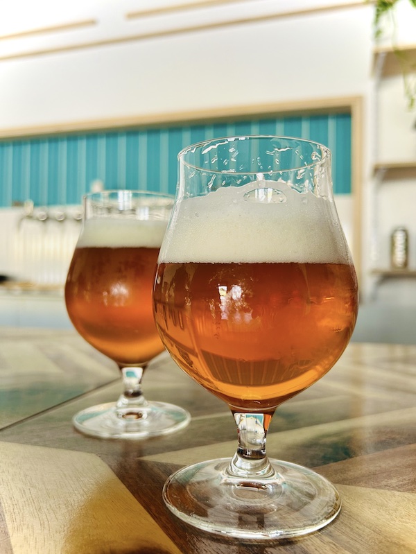 The Year in Beer: Who Opened and Closed and Best Beers of 2023