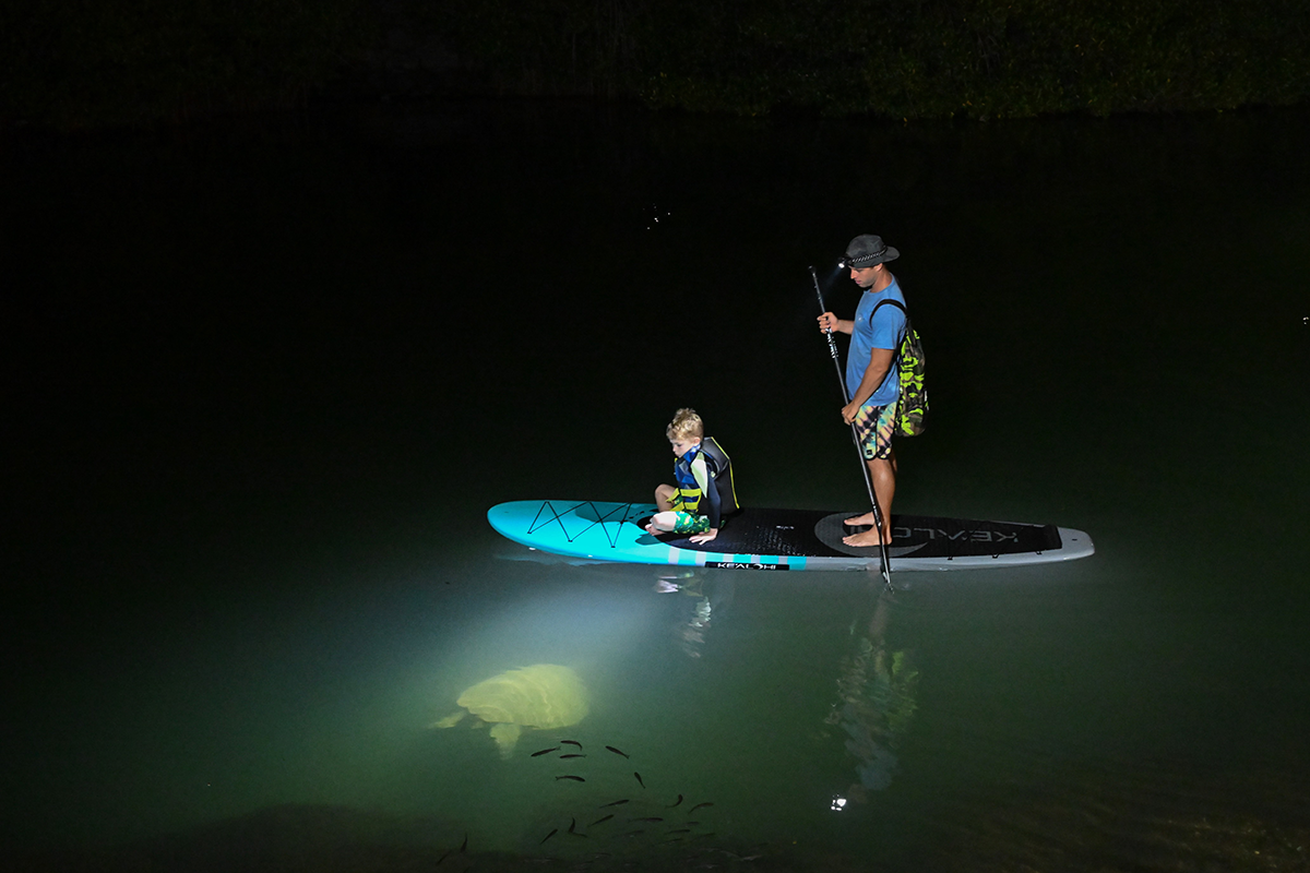 We Tried It: Ke‘alohi Surf’s LED Stand-Up Paddleboard Tour