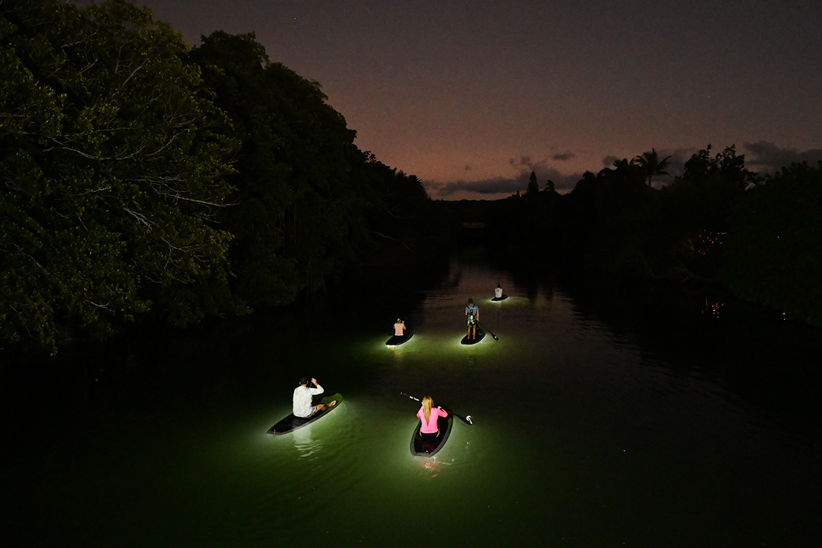 We Tried It: Ke‘alohi Surf’s LED Stand-Up Paddleboard Tour