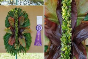 Beautiful Winning Lei From the Lei Day Celebration Contest 2024