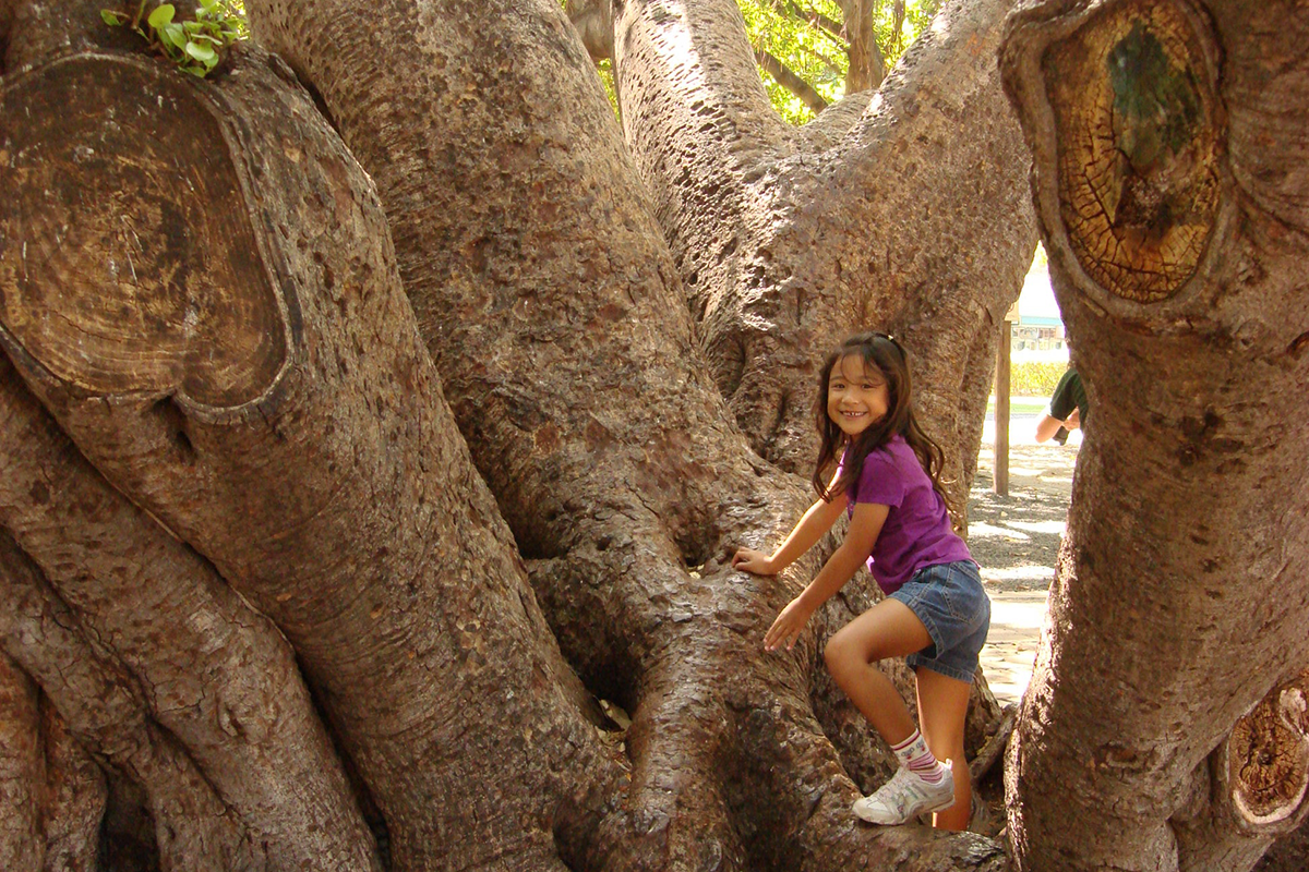 Be the Mane Attraction With These Local-Themed Hair Claws