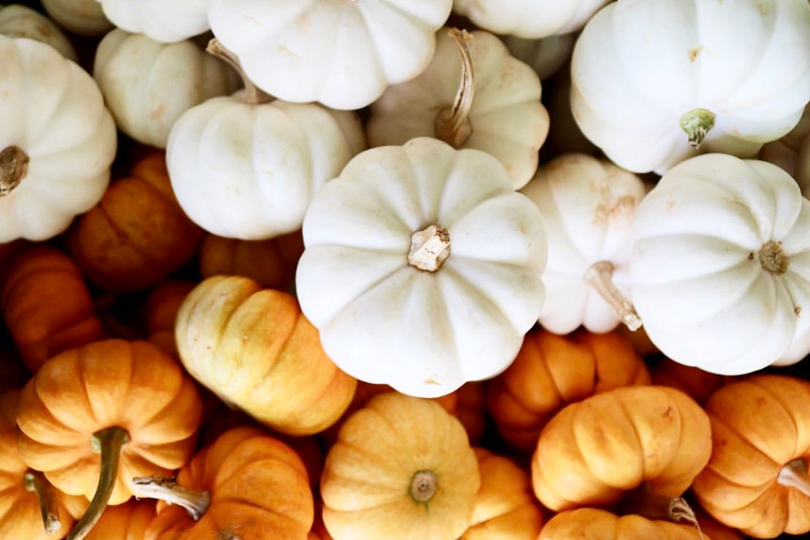 Pumpkin Patches and Fall Festivals on O‘ahu