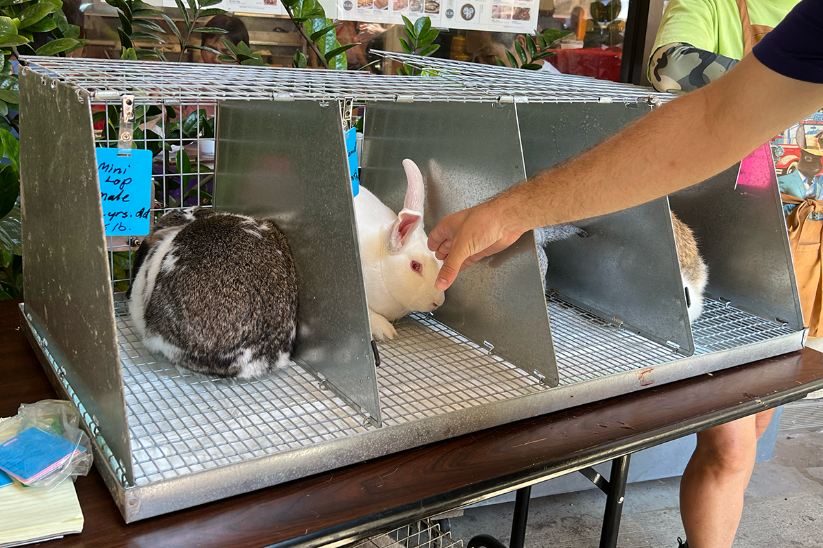 Your Insider Guide to the Mid-Autumn Festival 2024